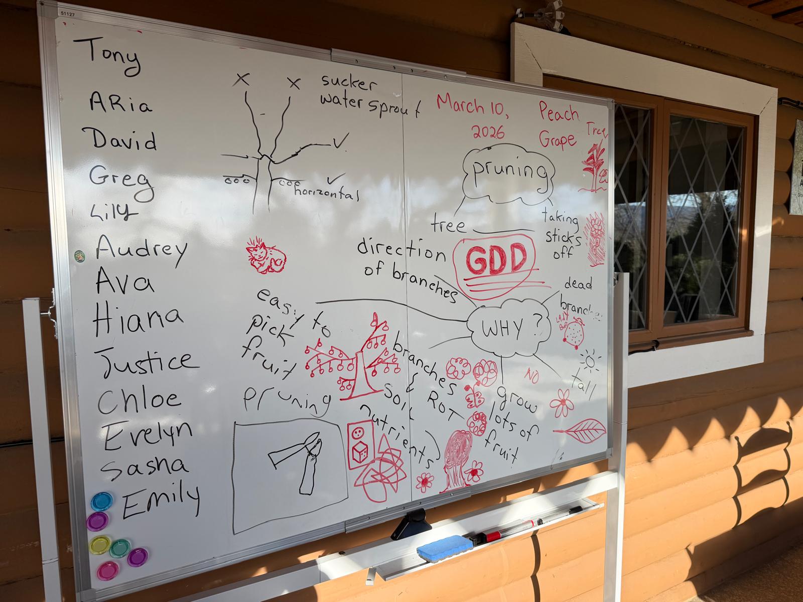 KOLA Academy - Nature-Based Experiential Education